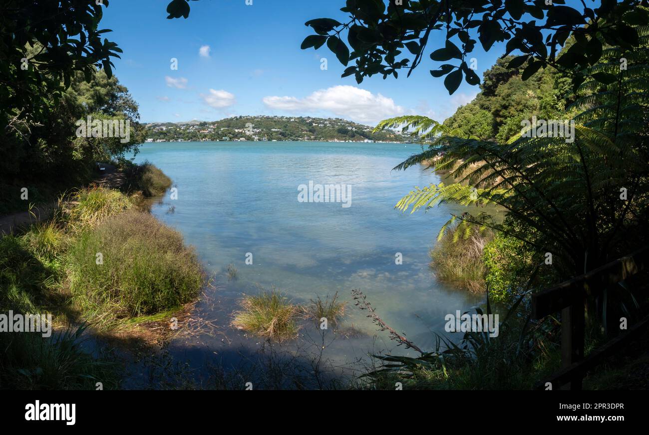 Pauatahanui Inlet, Porirua, North Island, New Zealand Stock Photo - Alamy