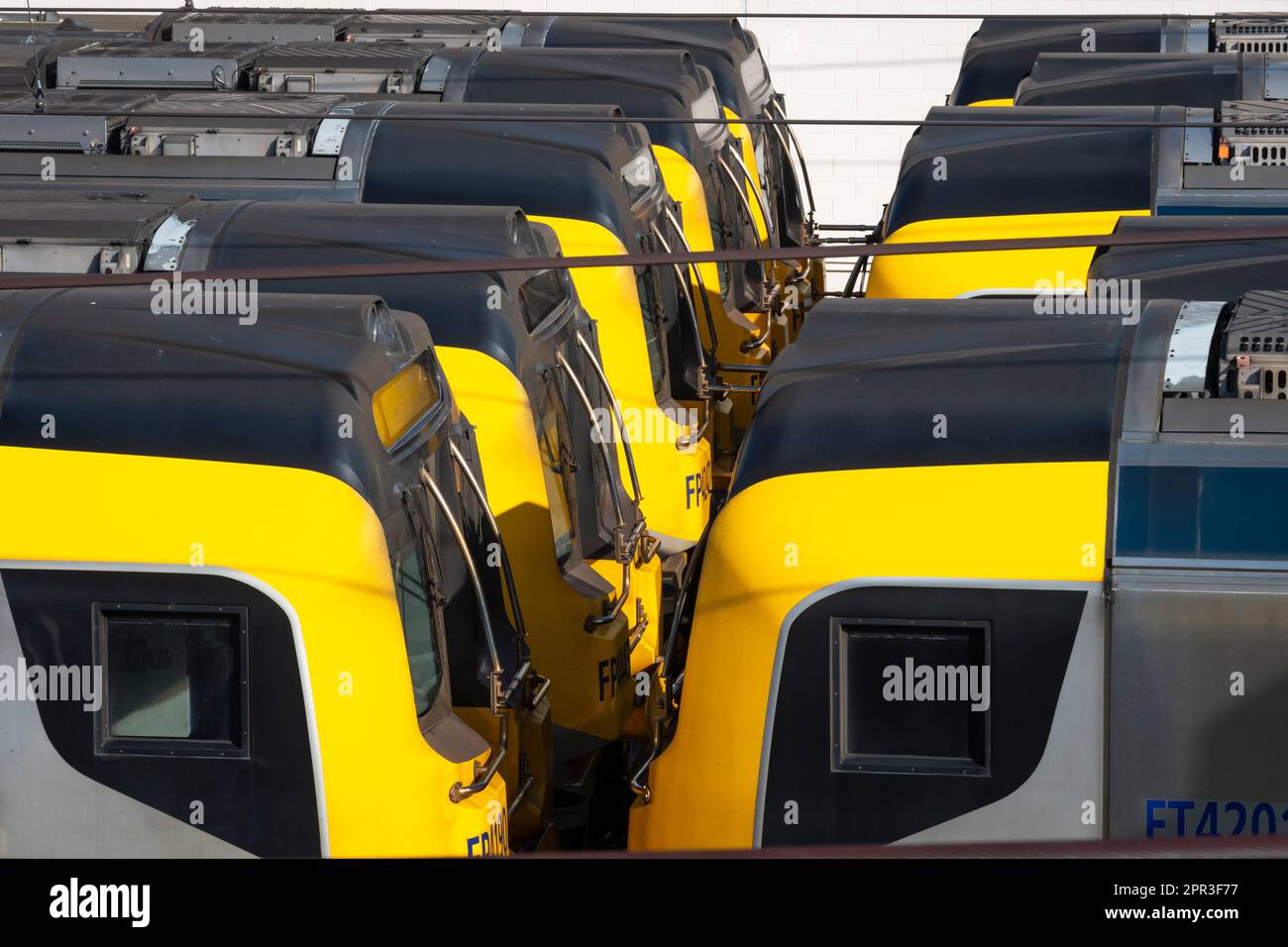 Electric suburban trains at Wellington Station, North Island, New ...