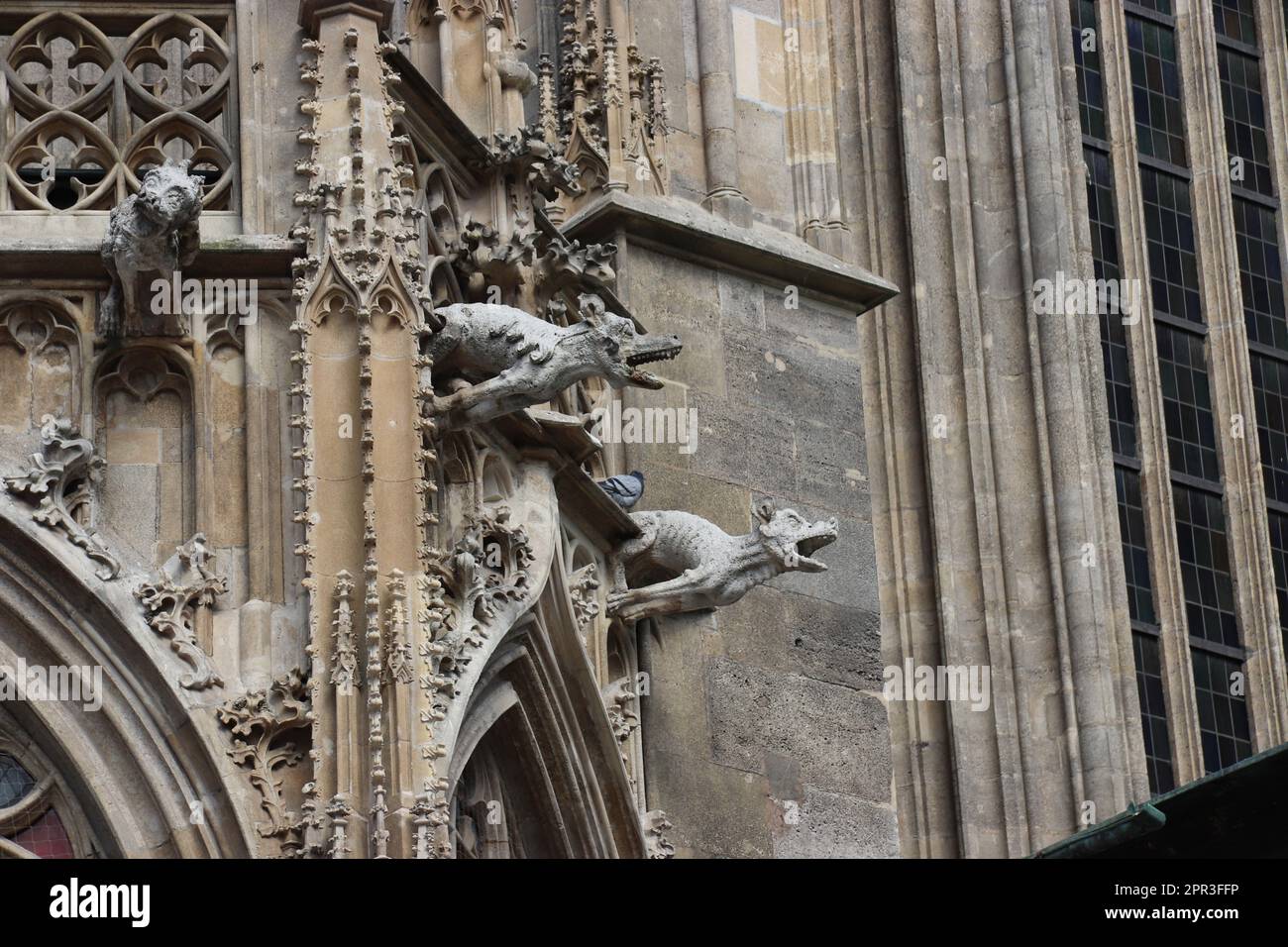 1887 vienna hi-res stock photography and images - Alamy