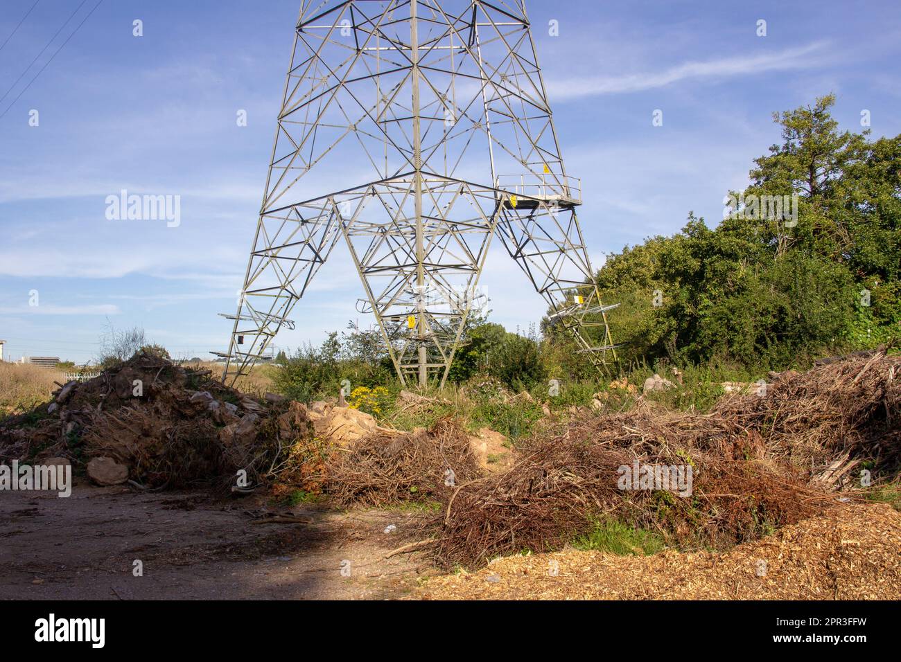 the base of an eclectricity pylon surrounded by brown braken and trees ...