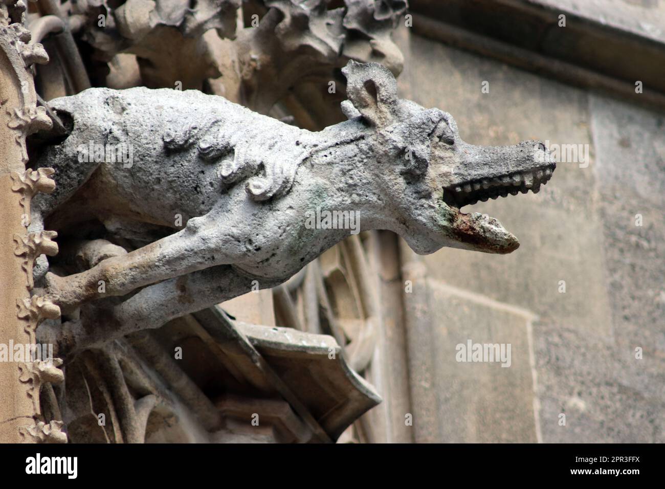 1887 vienna hi-res stock photography and images - Alamy