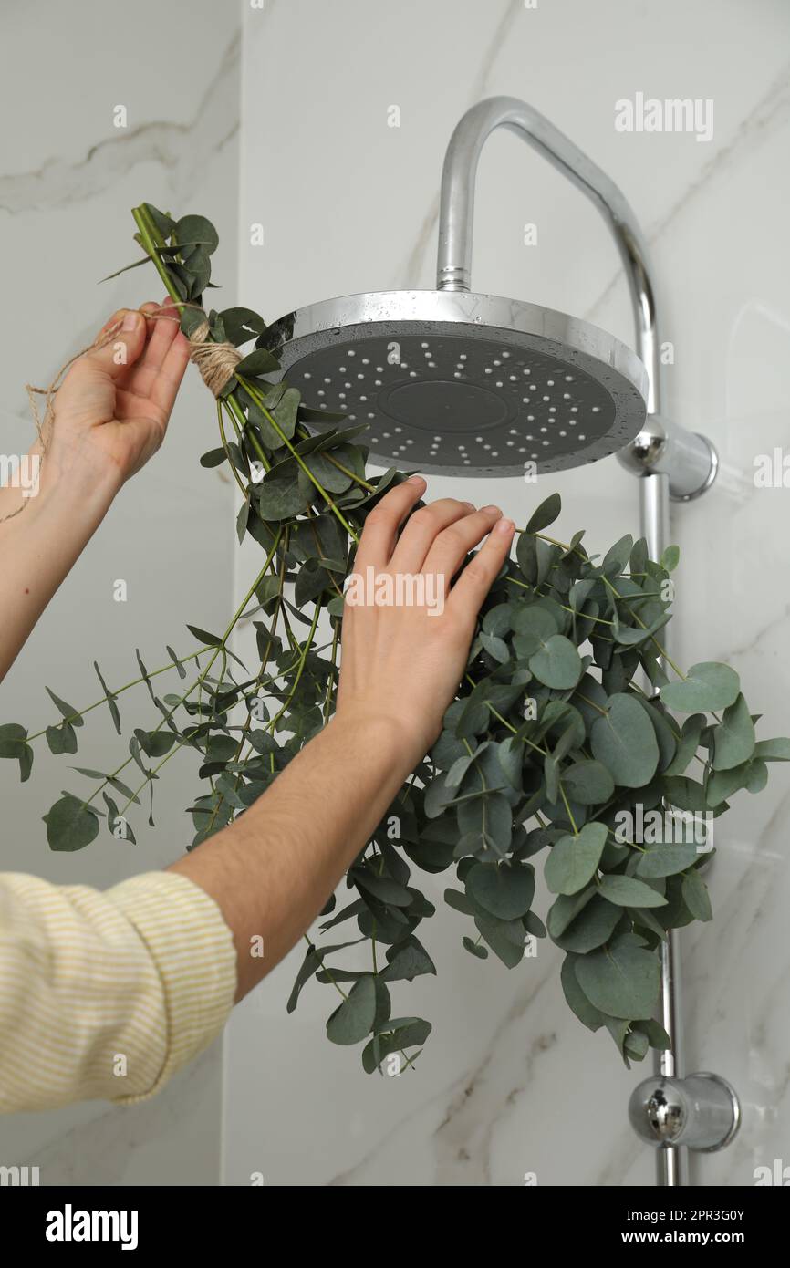 Woman hanging branches with green eucalyptus leaves on shower, closeup ...