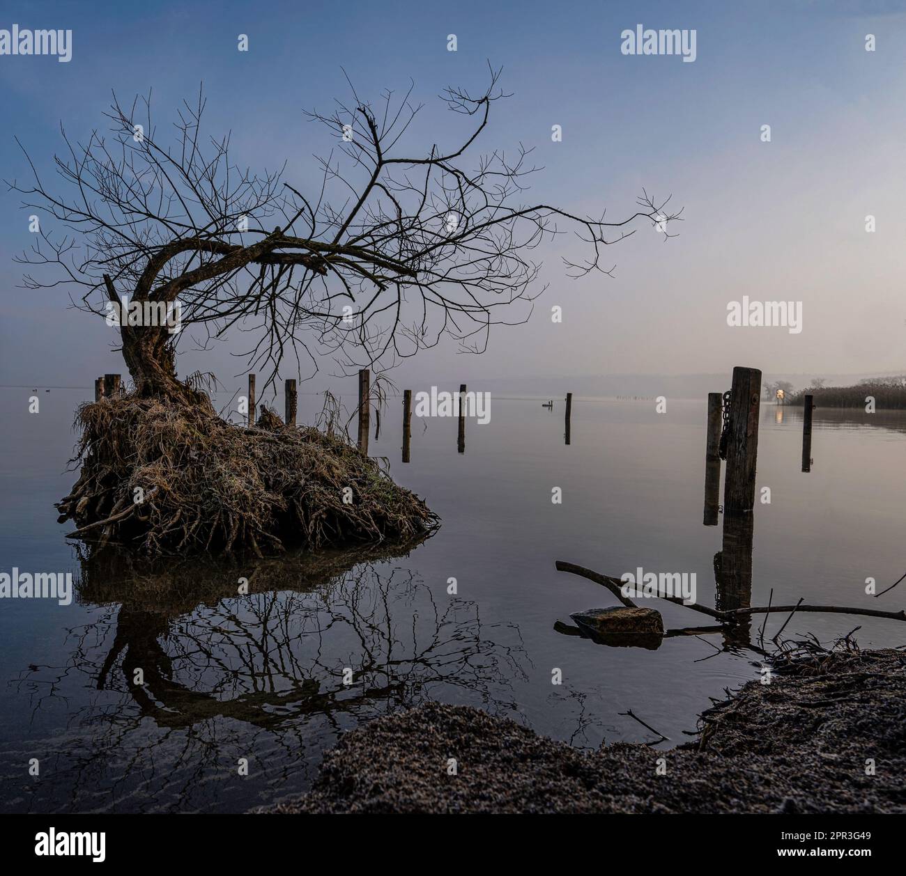 A tranquil lake surrounded by rocky terrain, featuring logs floating on ...
