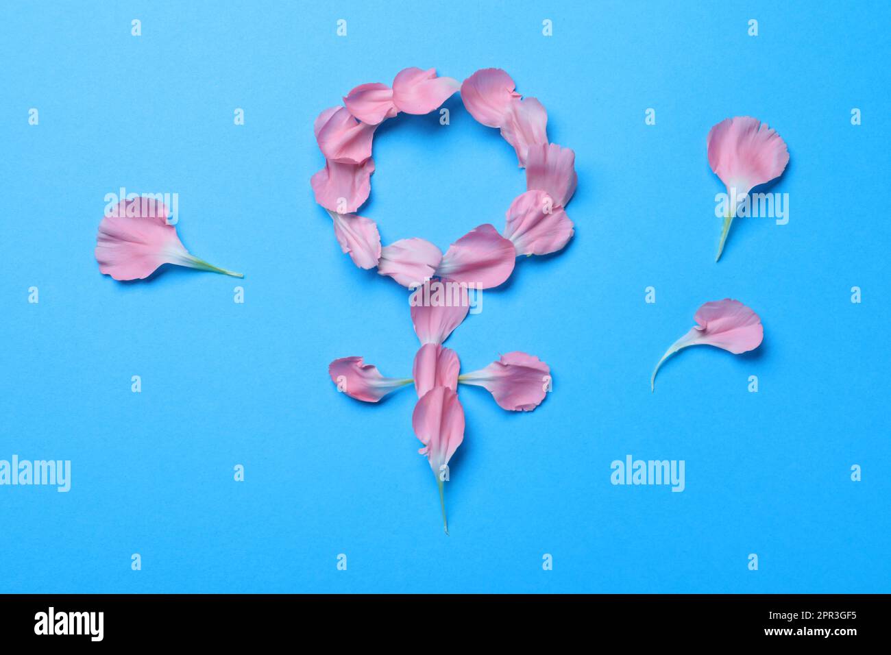 Female gender sign made of petals on light blue background, top view ...