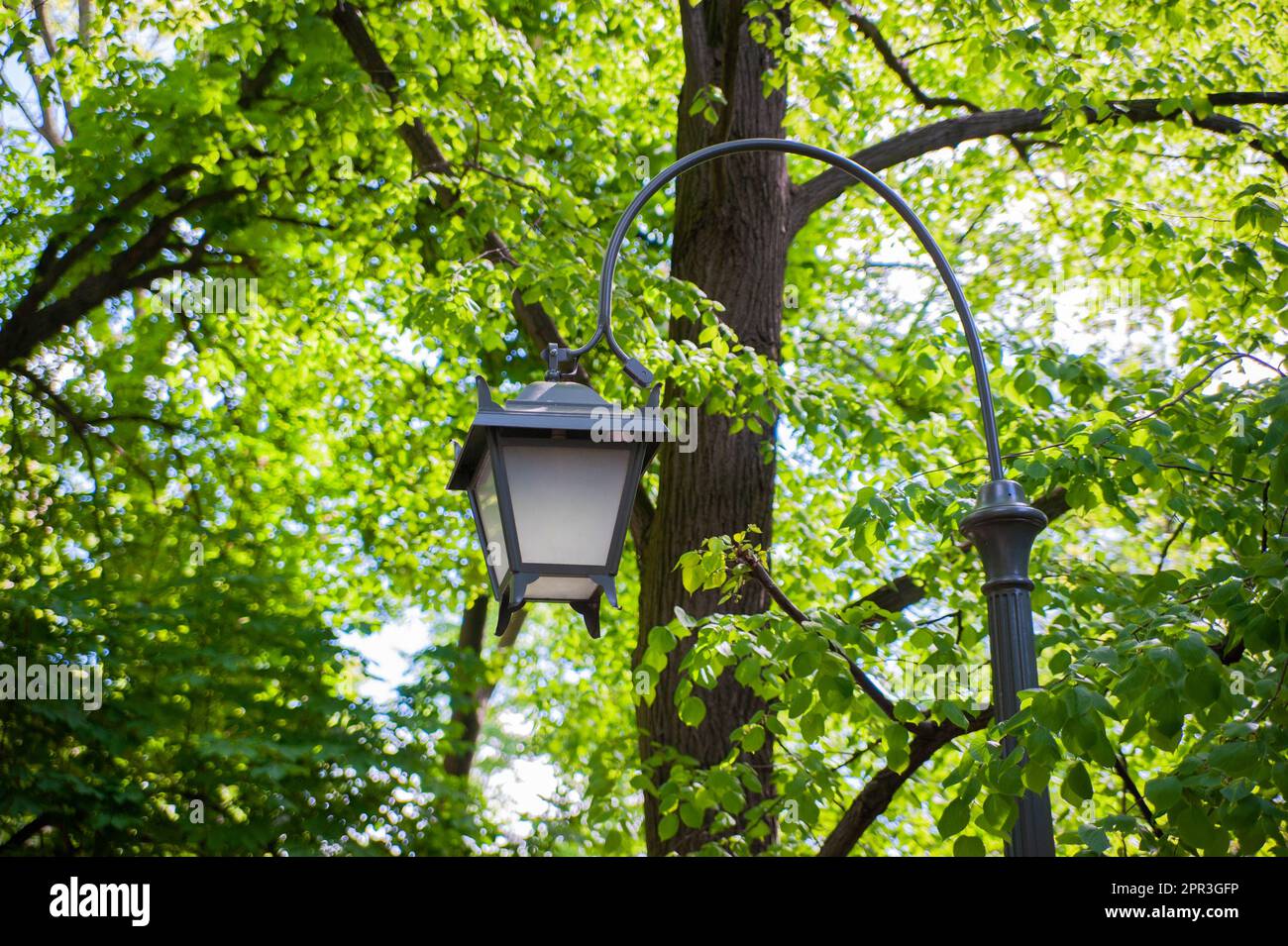 Street light at the park hi-res stock photography and images - Alamy