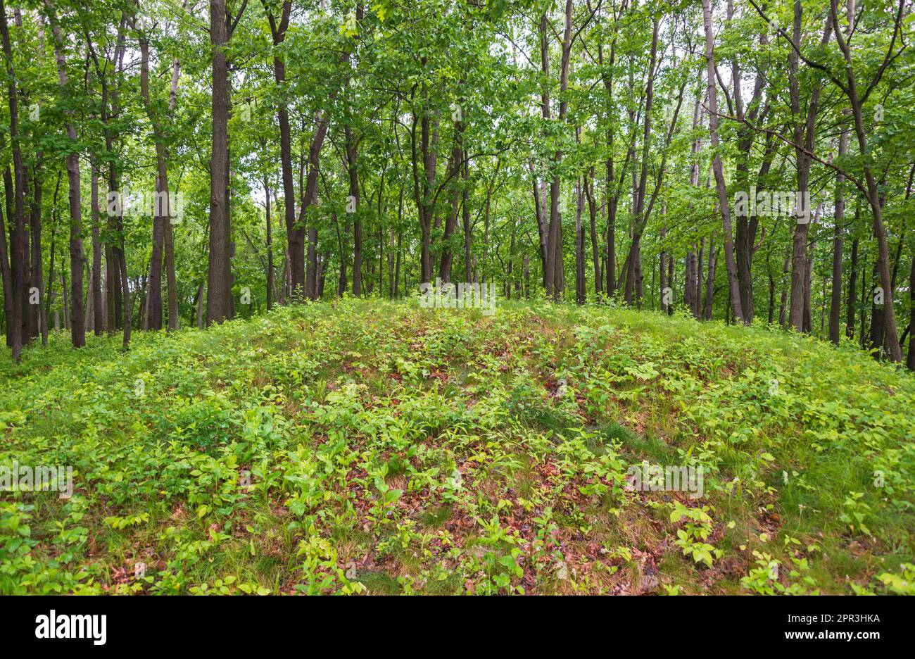 Effigy Mounds National Monument in Iowa Stock Photo - Alamy