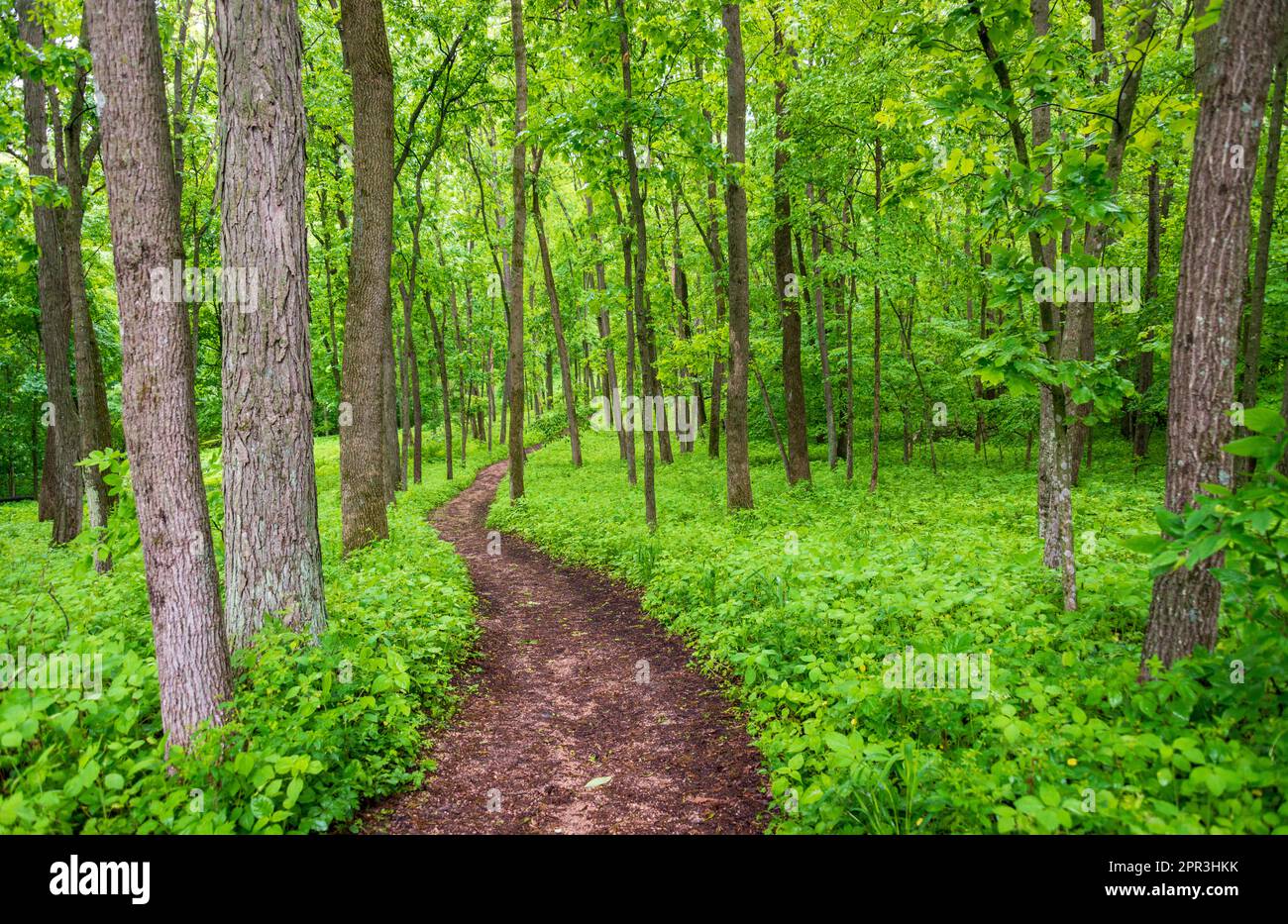 Effigy Mounds National Monument in Iowa Stock Photo - Alamy