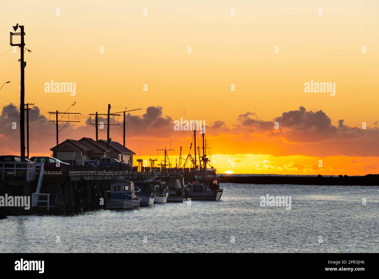 Fishing boats moored alongside Holmes Wharf, Oamaru harbour, North ...