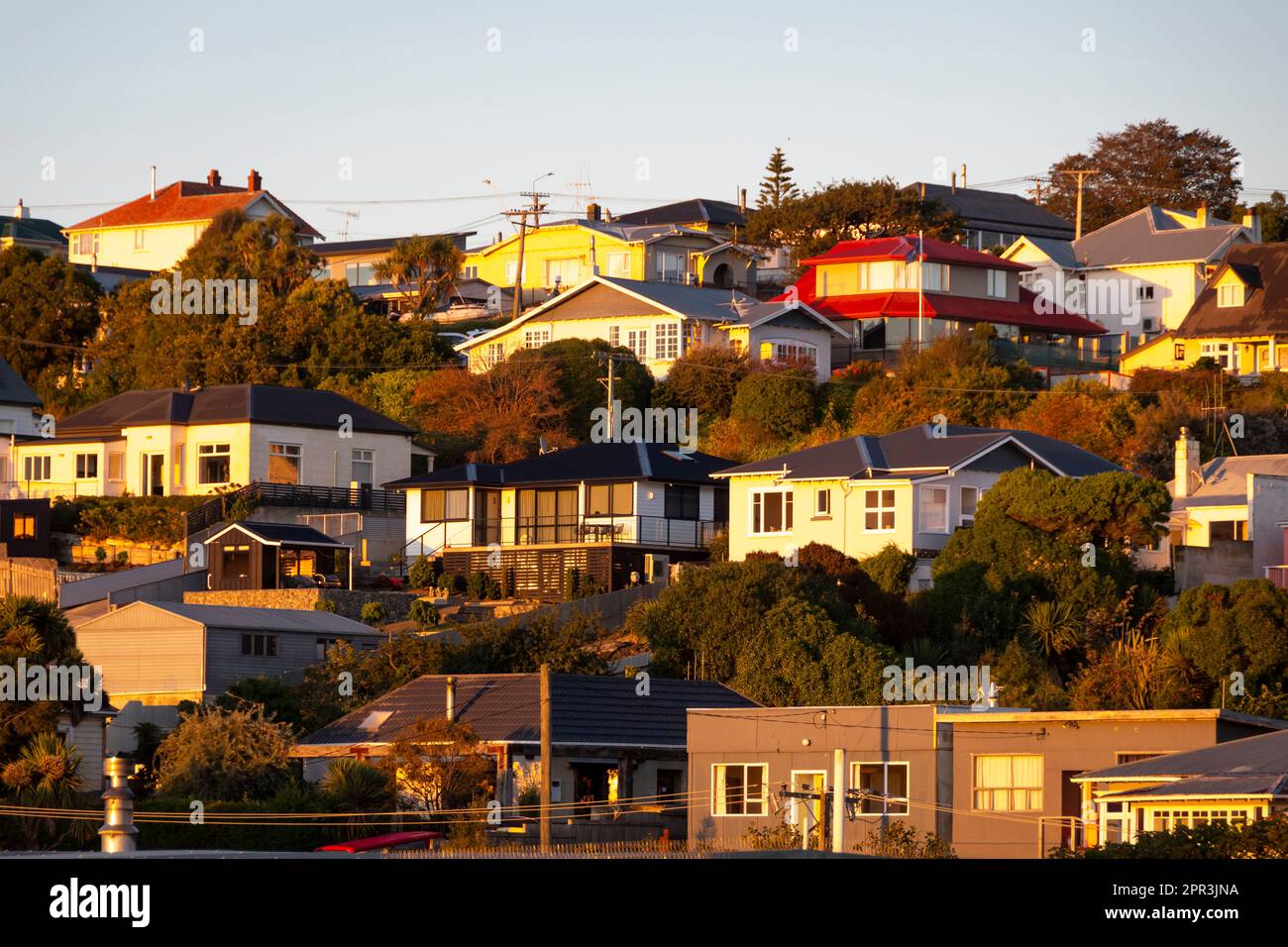 Houses on hillside, Oamaru, North Otago, South Island, New Zealand ...