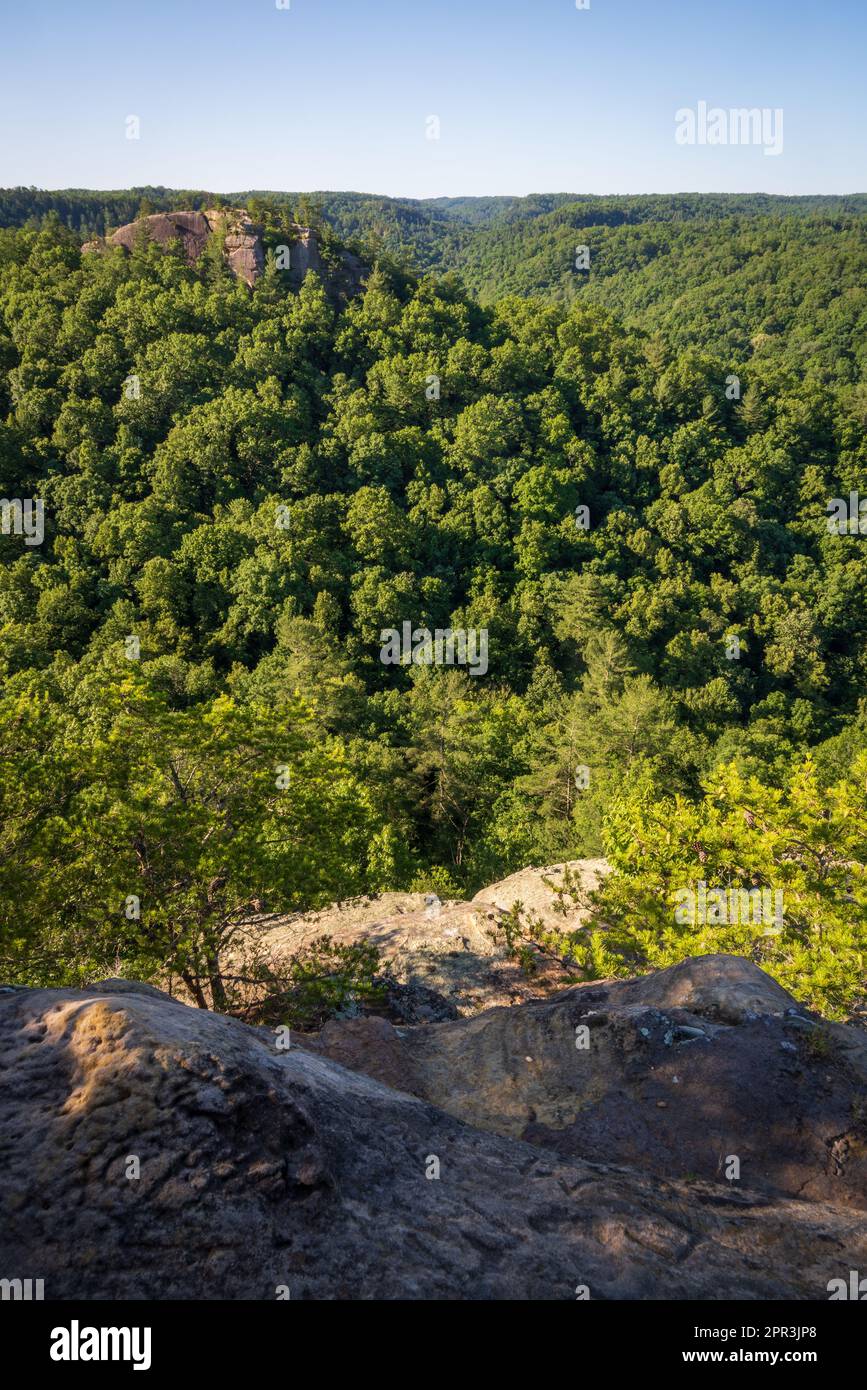 Red River Gorge Geological Area in Kentucky Stock Photo - Alamy