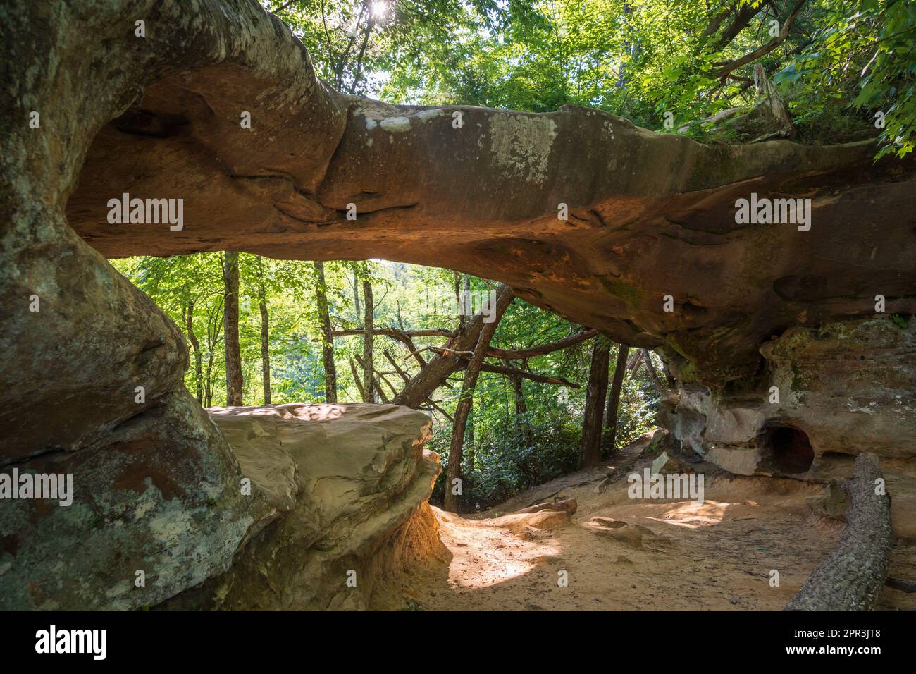 Red River Gorge Geological Area in Kentucky Stock Photo - Alamy