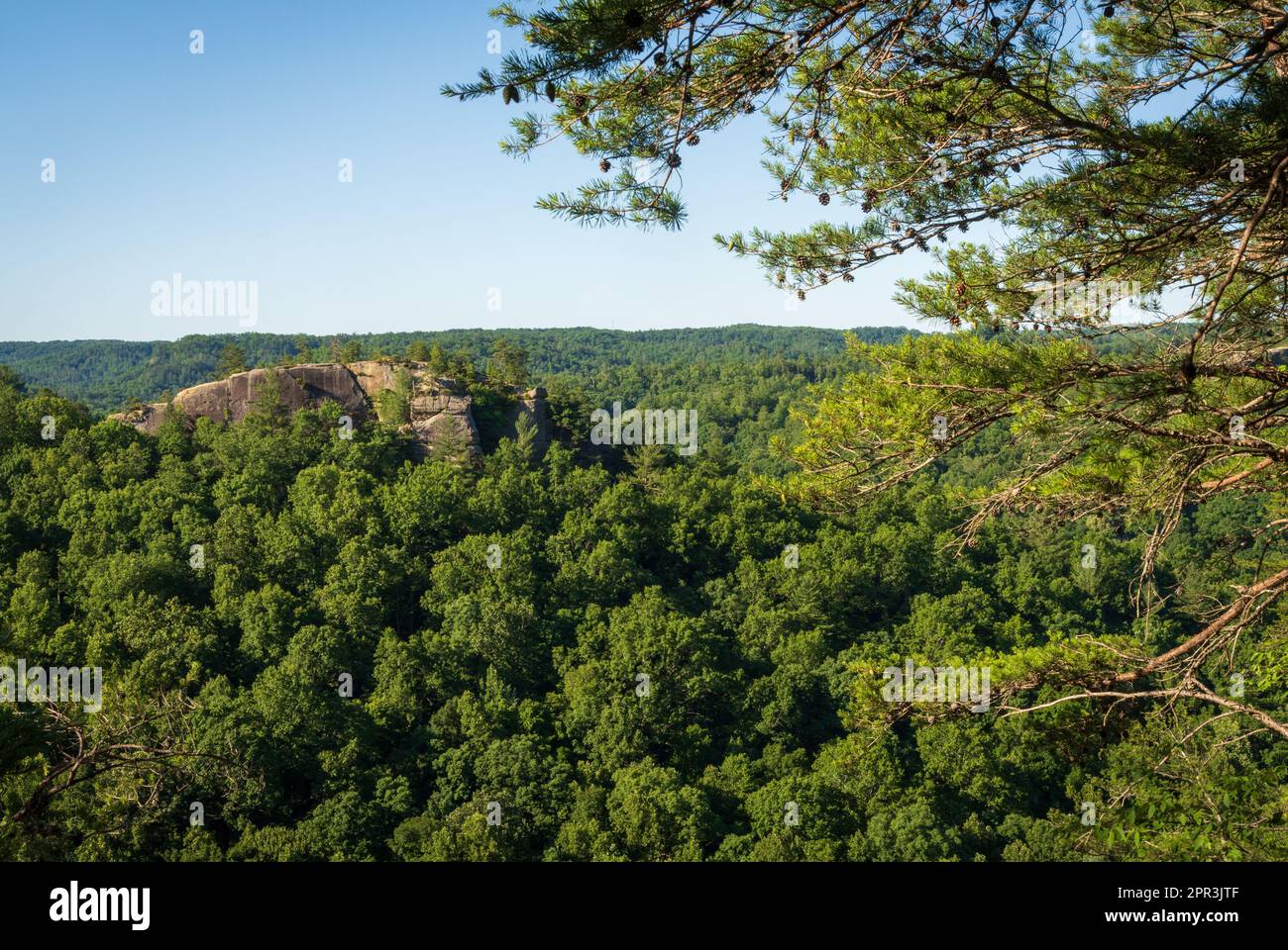 Red River Gorge Geological Area in Kentucky Stock Photo - Alamy