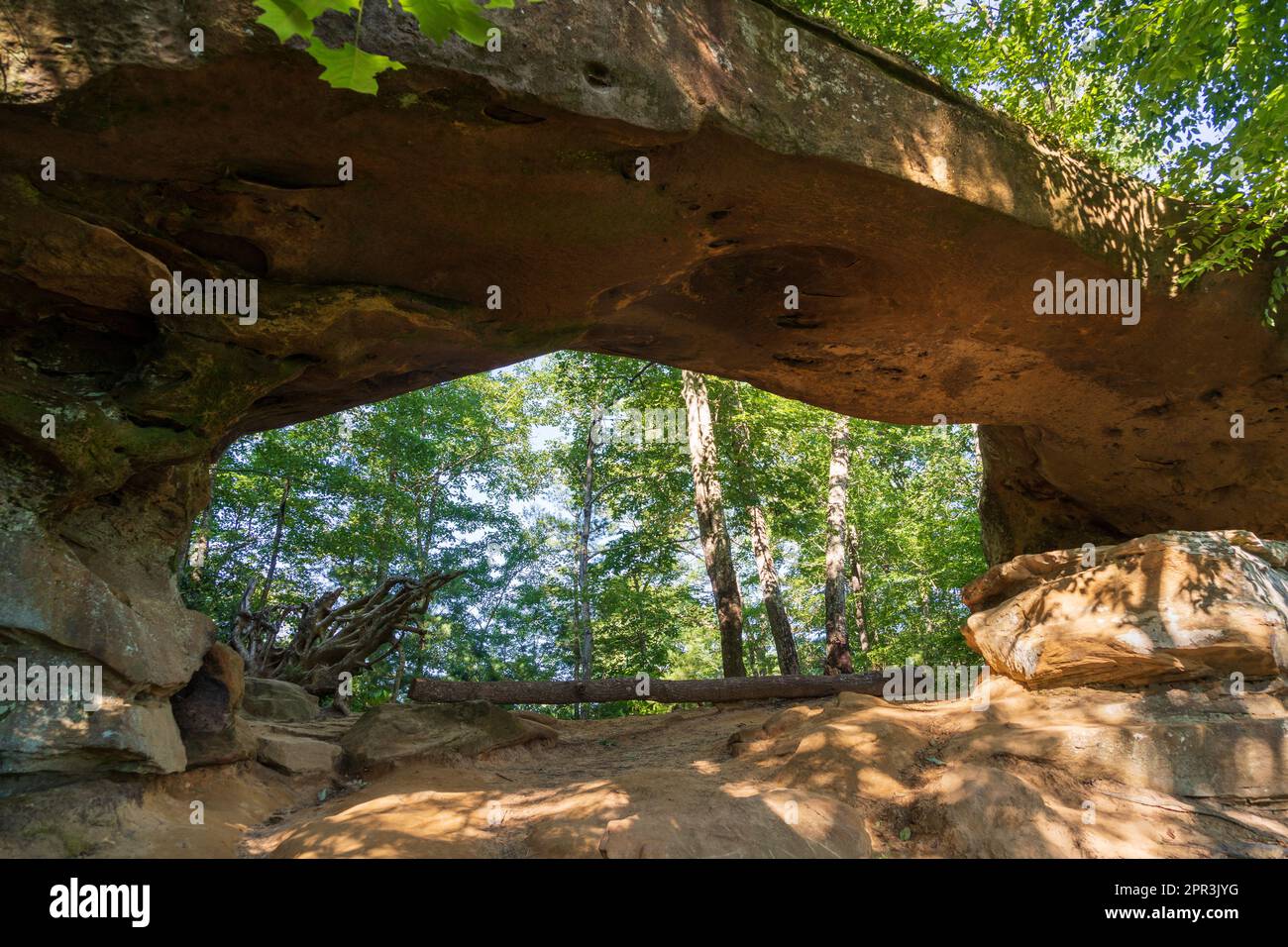 Red River Gorge Geological Area in Kentucky Stock Photo - Alamy