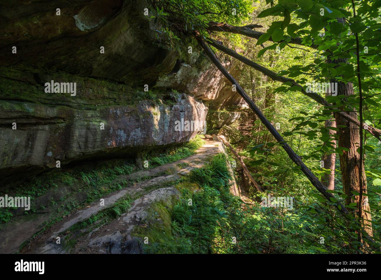 Red River Gorge Geological Area in Kentucky Stock Photo - Alamy