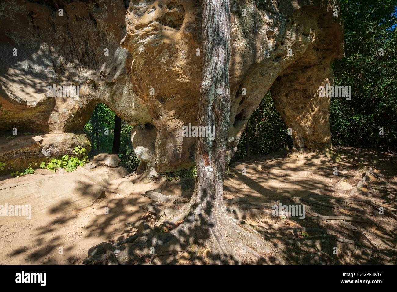 Red River Gorge Geological Area in Kentucky Stock Photo - Alamy