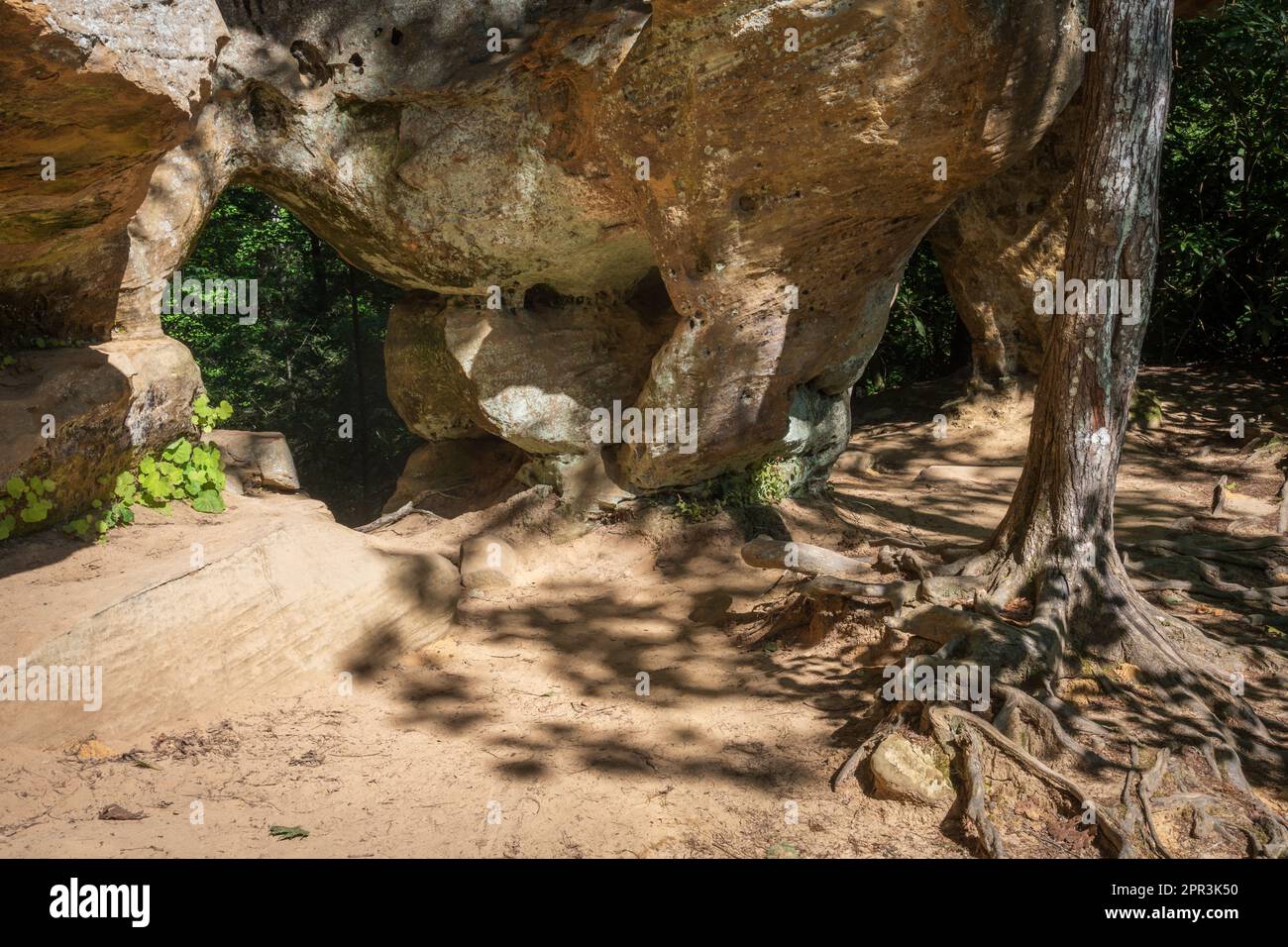 Red River Gorge Geological Area in Kentucky Stock Photo - Alamy