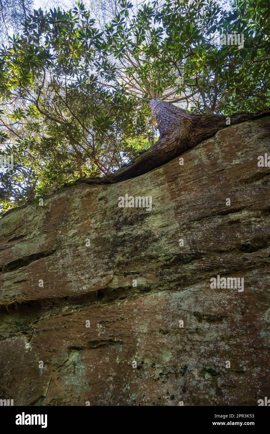 Red River Gorge Geological Area in Kentucky Stock Photo - Alamy