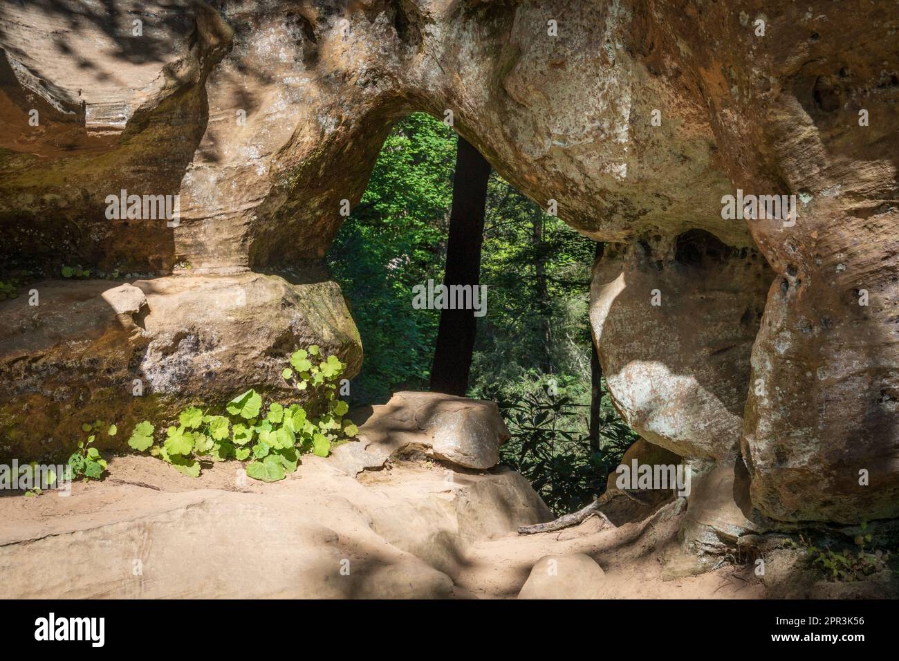 Red River Gorge Geological Area in Kentucky Stock Photo - Alamy