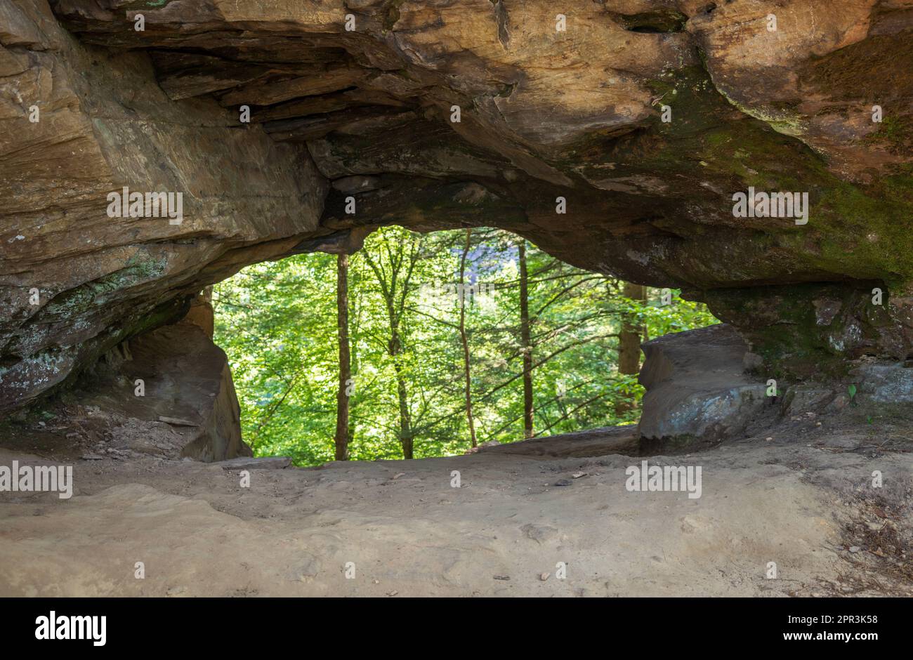 Red River Gorge Geological Area in Kentucky Stock Photo - Alamy