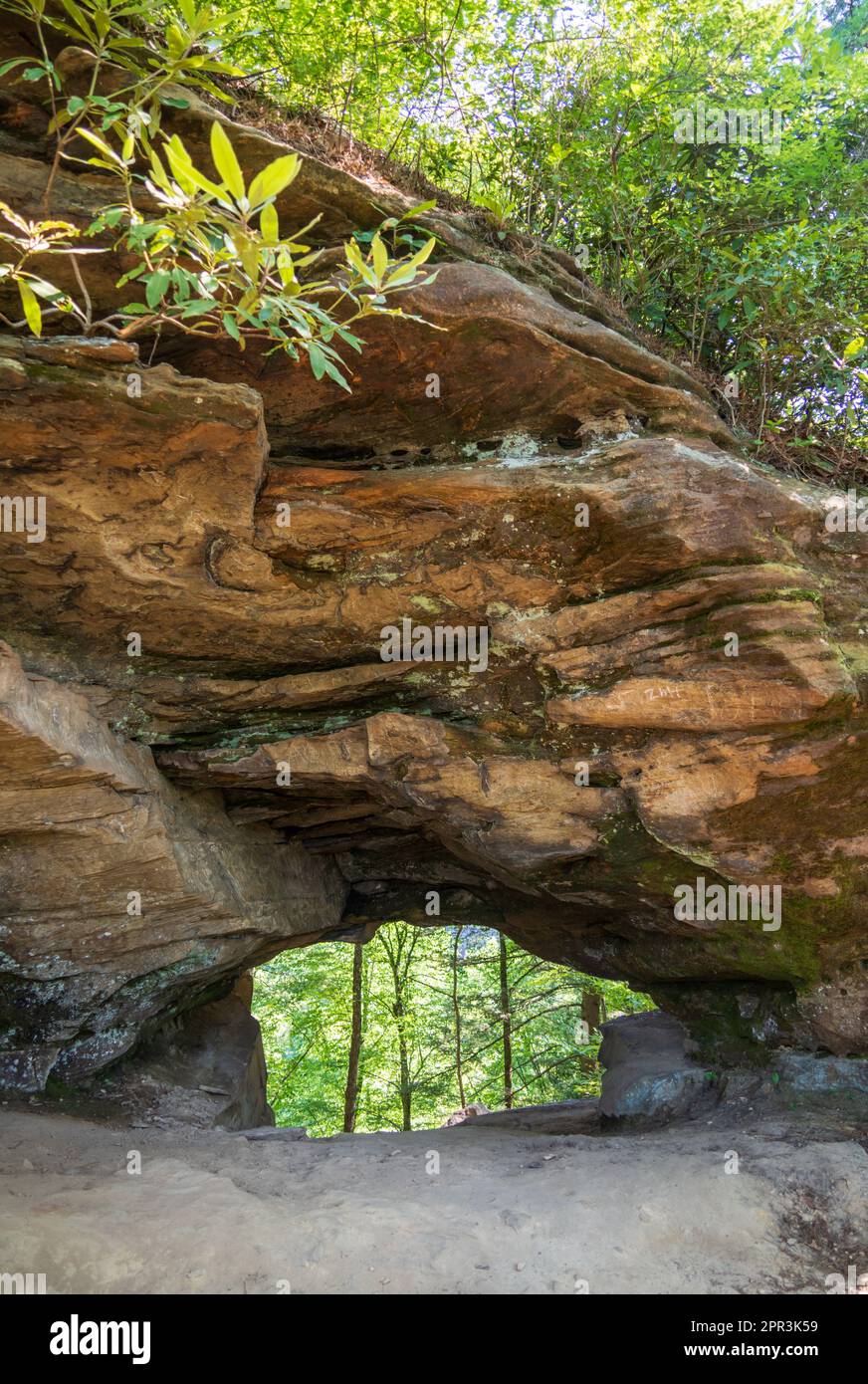 Red River Gorge Geological Area in Kentucky Stock Photo - Alamy