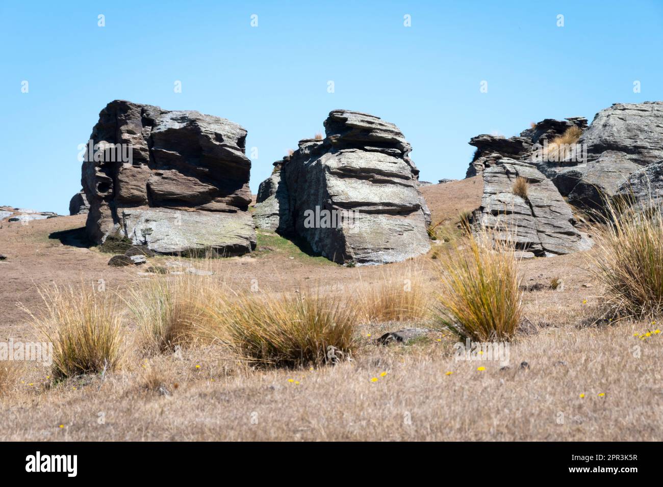 Schist rocks on hillside near Hyde, Central Otago, South Island, New ...