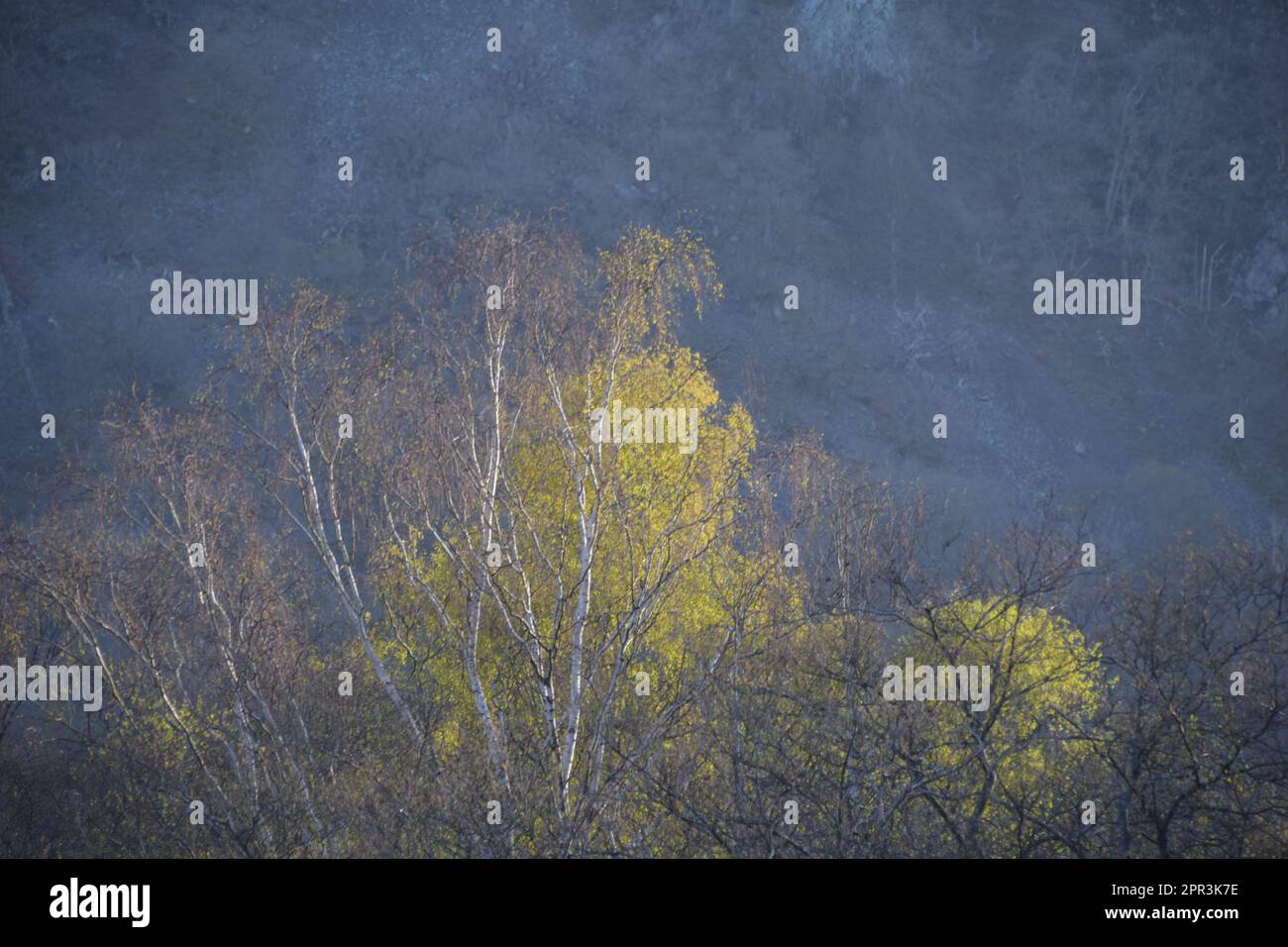 Springtime reflections on Rydal water, English Lake district Stock ...