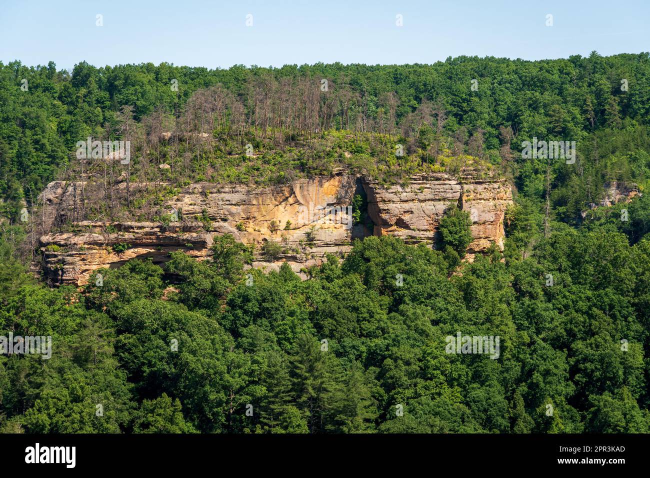 Red River Gorge Geological Area in Kentucky Stock Photo - Alamy