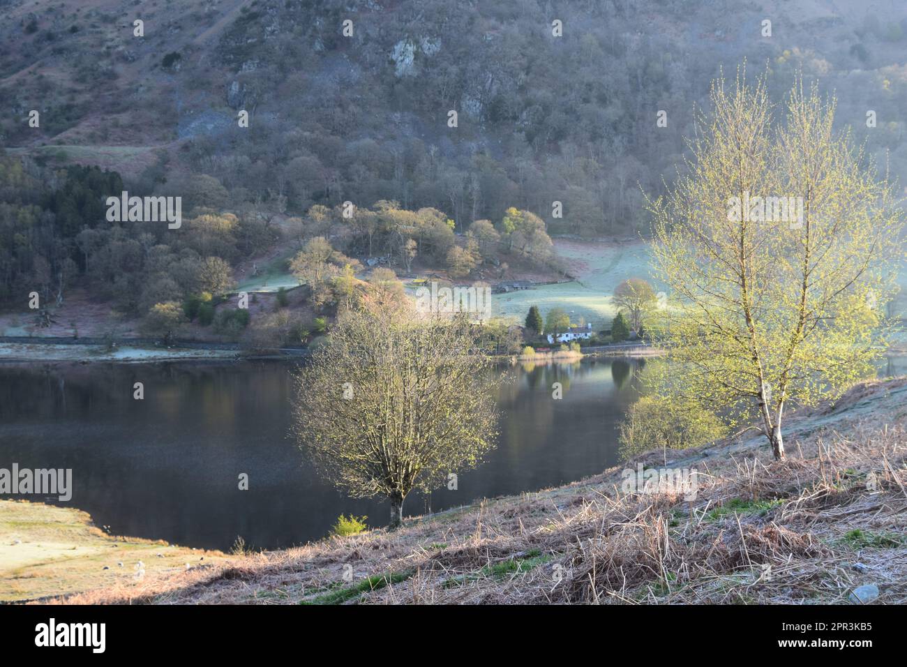 Springtime reflections on Rydal water, English Lake district Stock ...