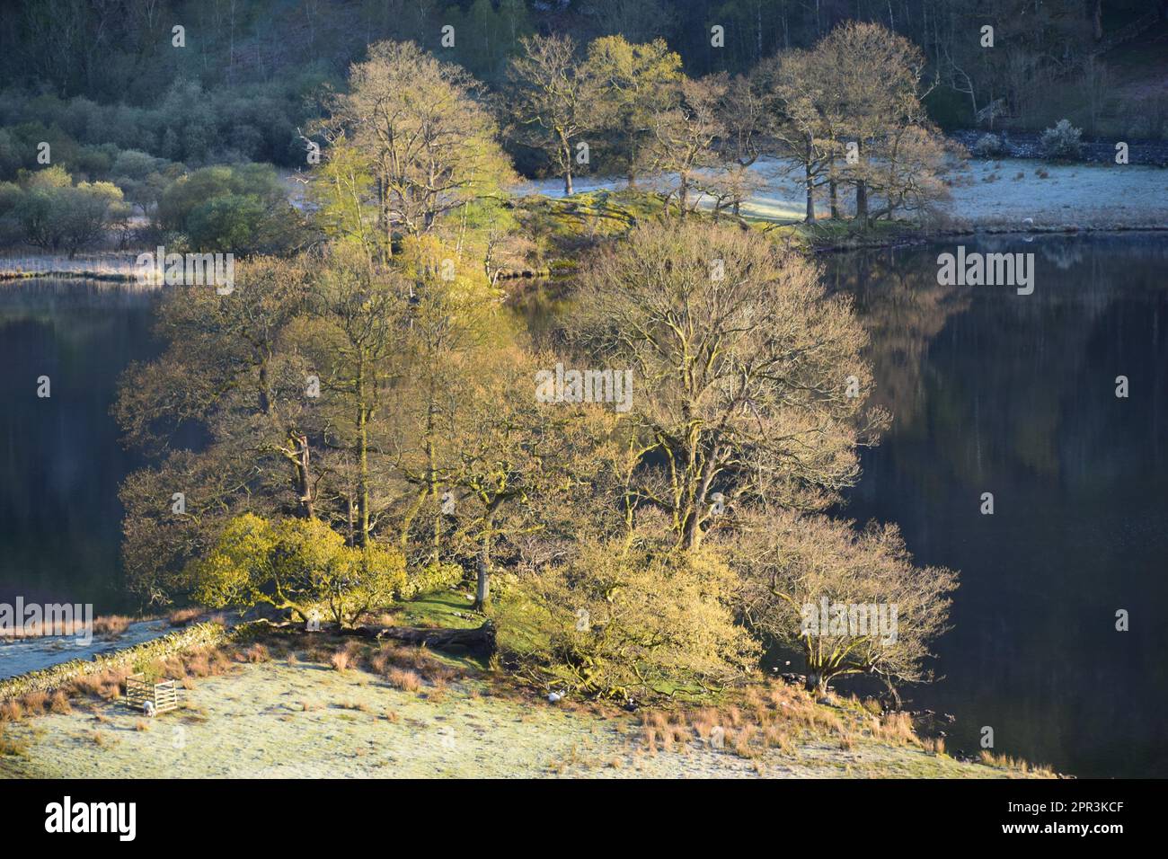 Springtime reflections on Rydal water, English Lake district Stock ...
