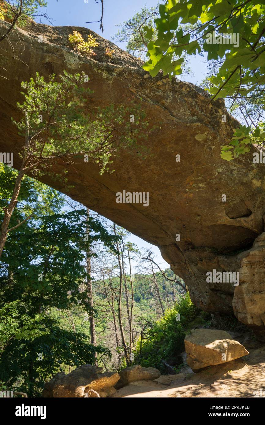 Red River Gorge Geological Area in Kentucky Stock Photo - Alamy