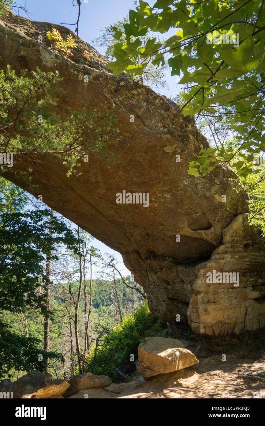 Red River Gorge Geological Area in Kentucky Stock Photo - Alamy