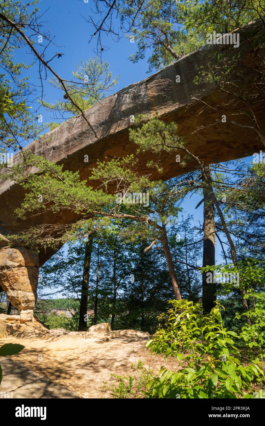 Red River Gorge Geological Area in Kentucky Stock Photo - Alamy