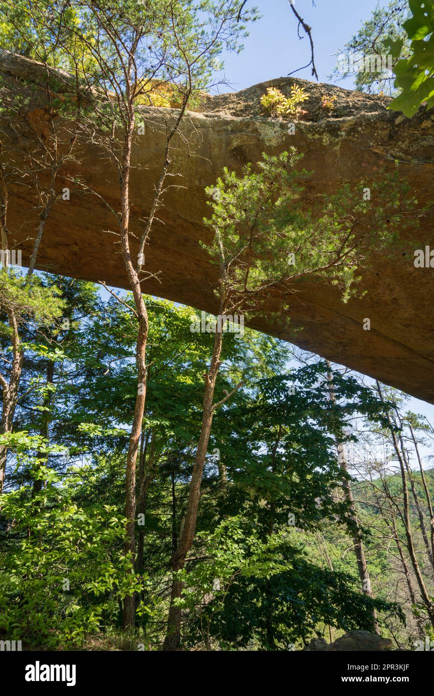 Red River Gorge Geological Area in Kentucky Stock Photo - Alamy