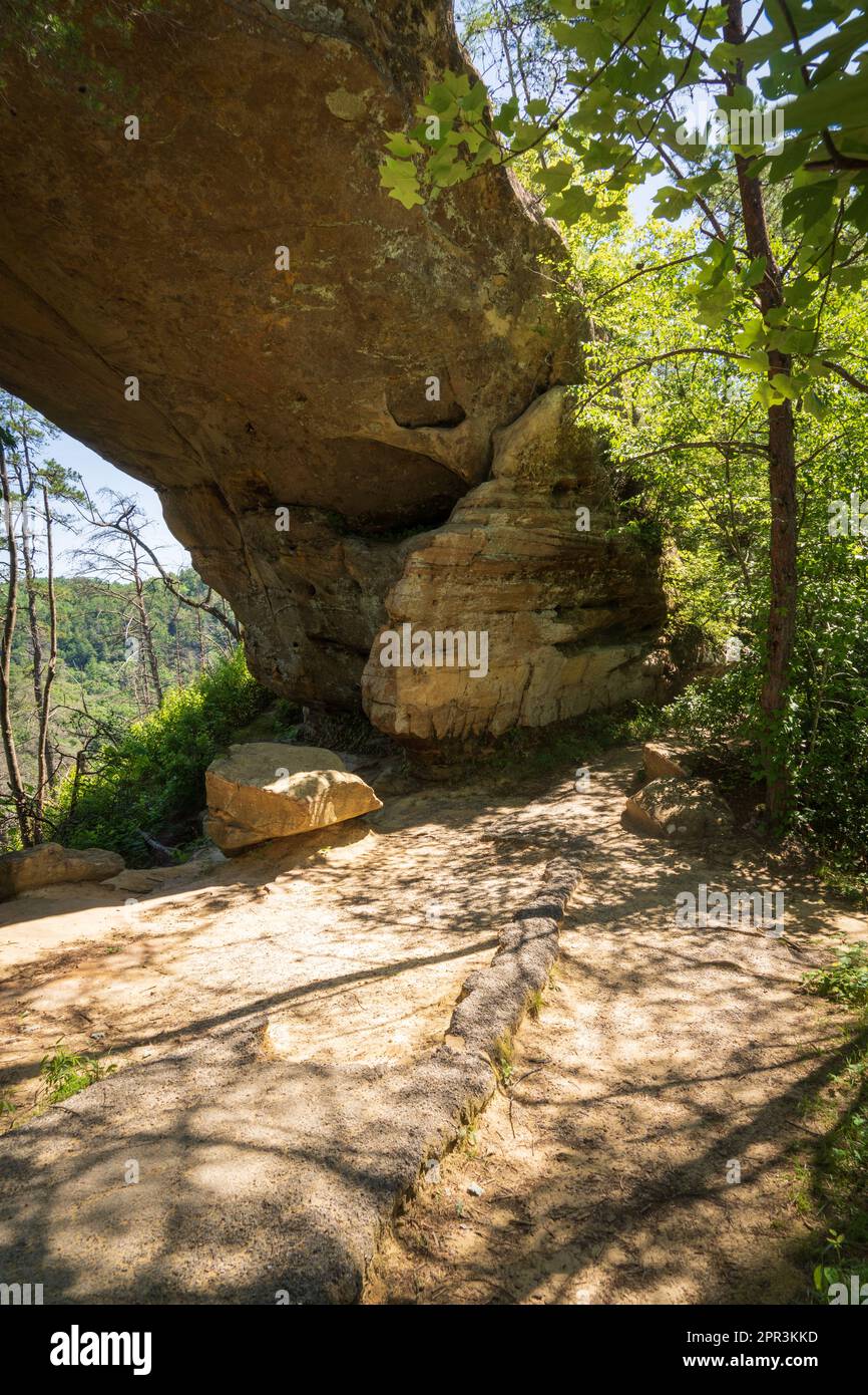 Red River Gorge Geological Area in Kentucky Stock Photo - Alamy