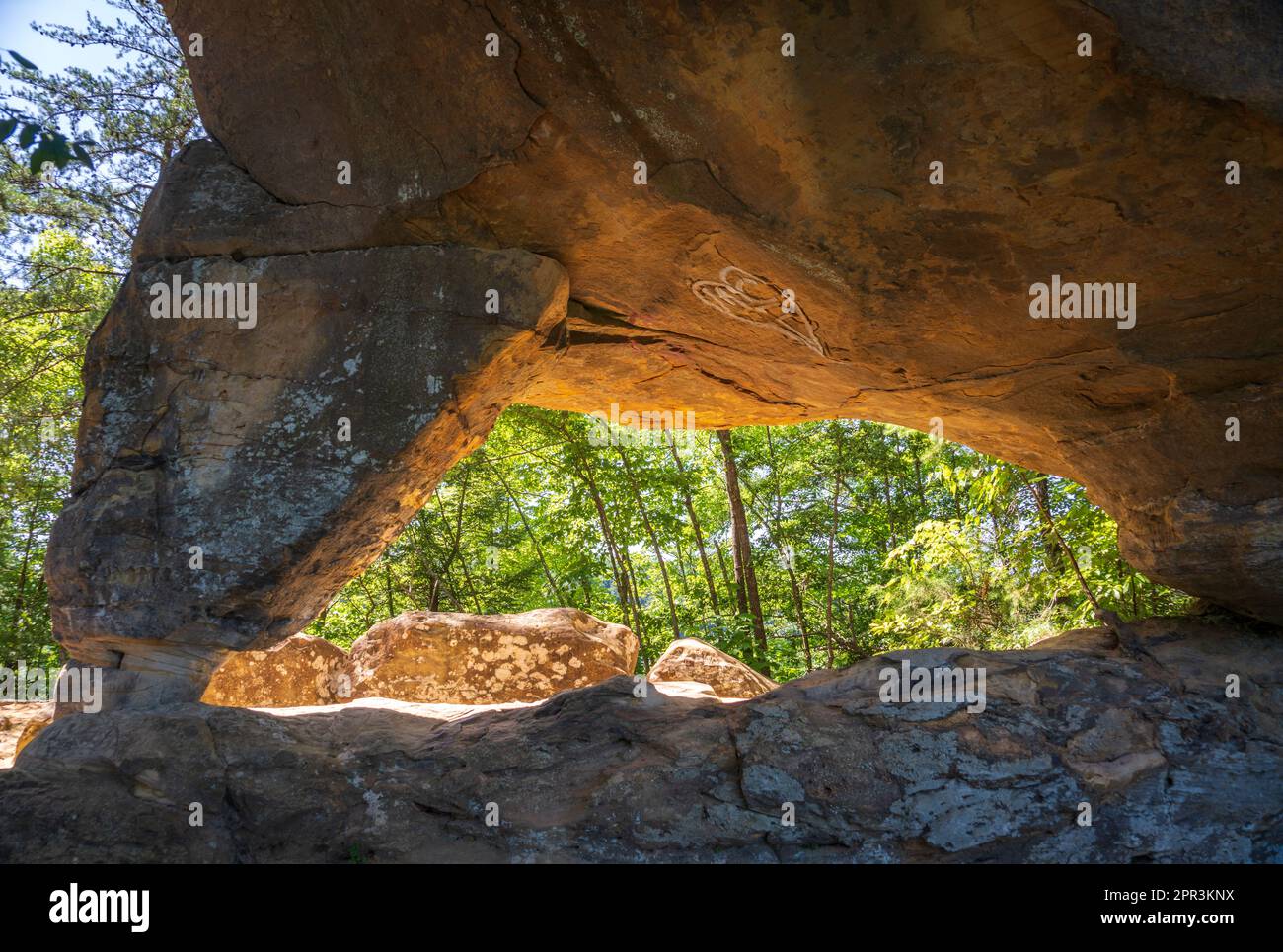 Red River Gorge Geological Area in Kentucky Stock Photo - Alamy
