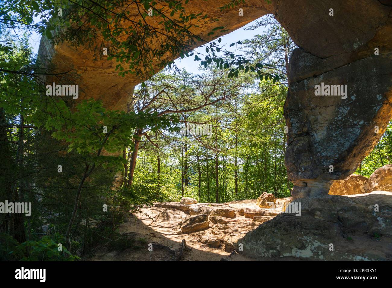 Red River Gorge Geological Area in Kentucky Stock Photo - Alamy