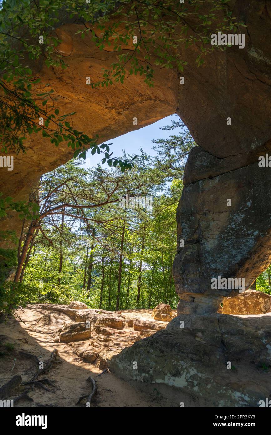 Red River Gorge Geological Area in Kentucky Stock Photo - Alamy