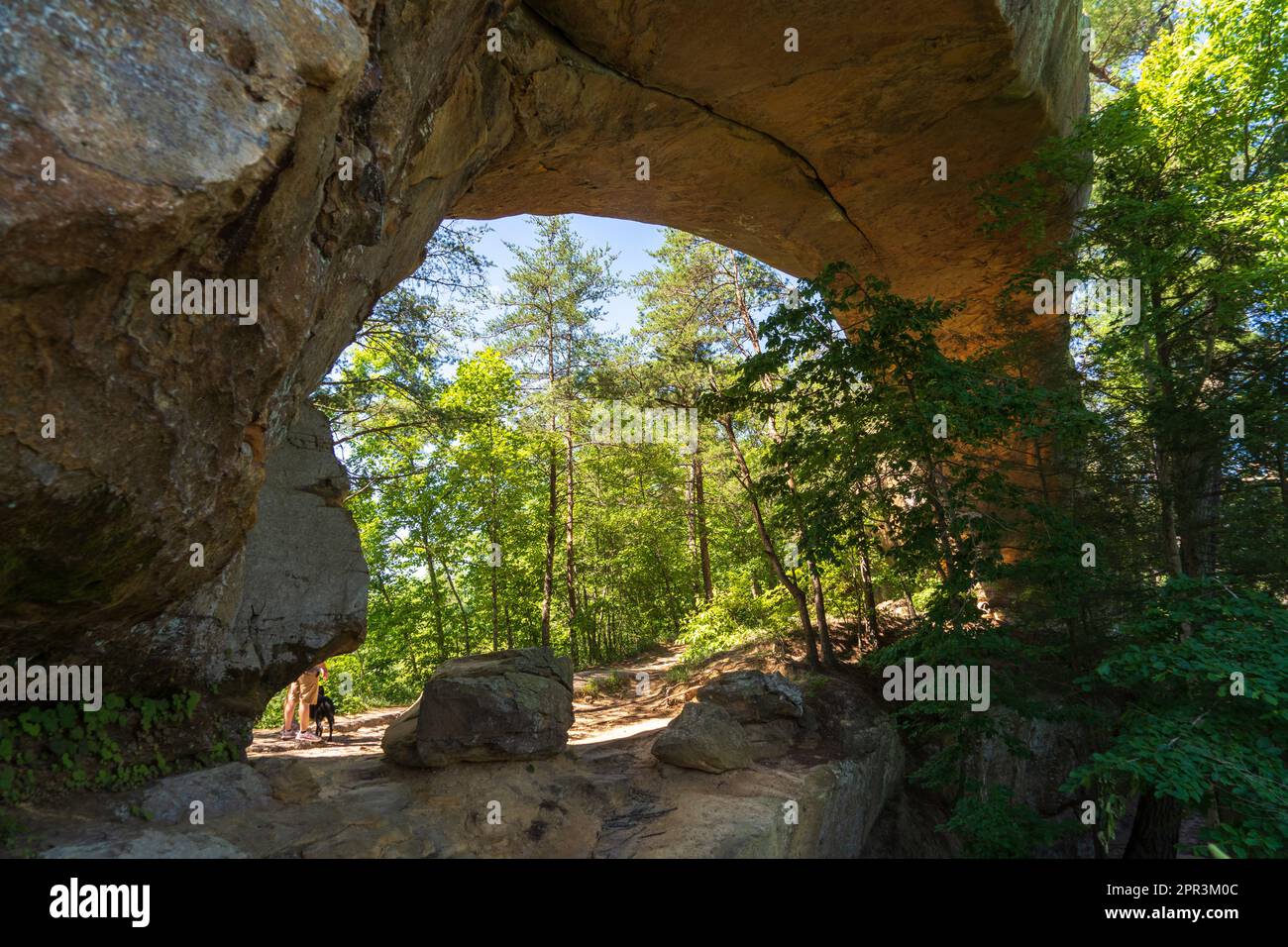 Red River Gorge Geological Area in Kentucky Stock Photo - Alamy