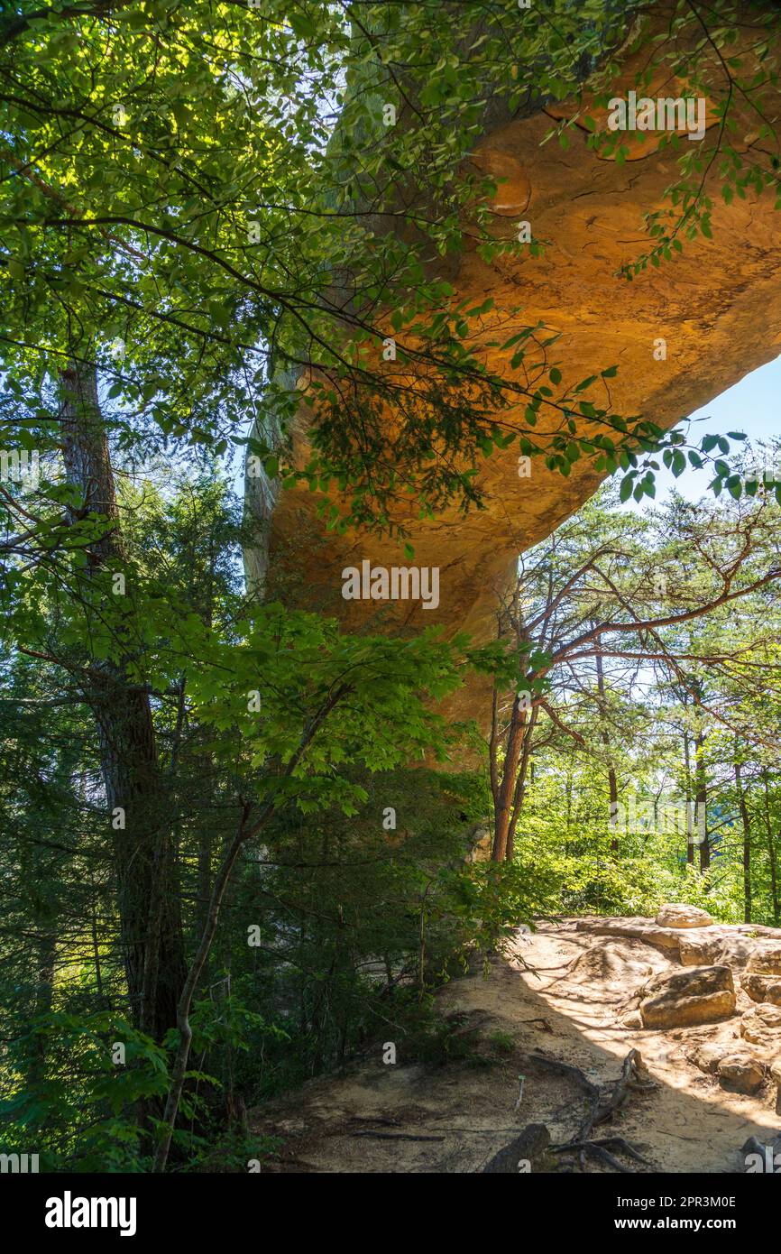 Red River Gorge Geological Area in Kentucky Stock Photo - Alamy