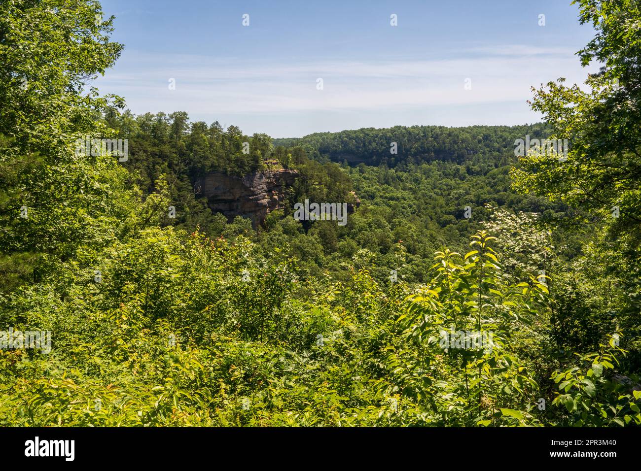 Red River Gorge Geological Area in Kentucky Stock Photo - Alamy