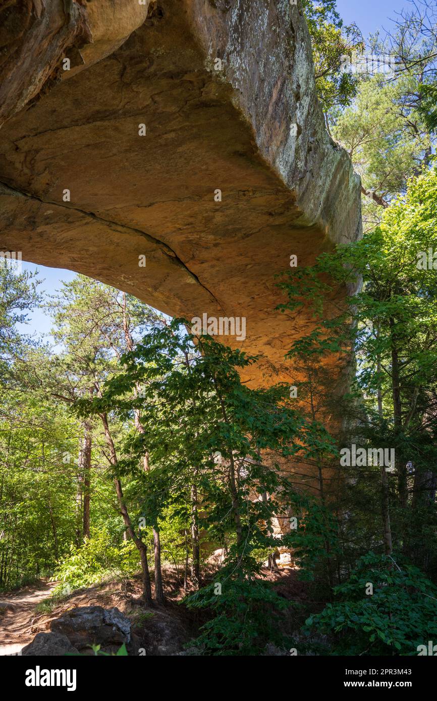 Red River Gorge Geological Area in Kentucky Stock Photo - Alamy