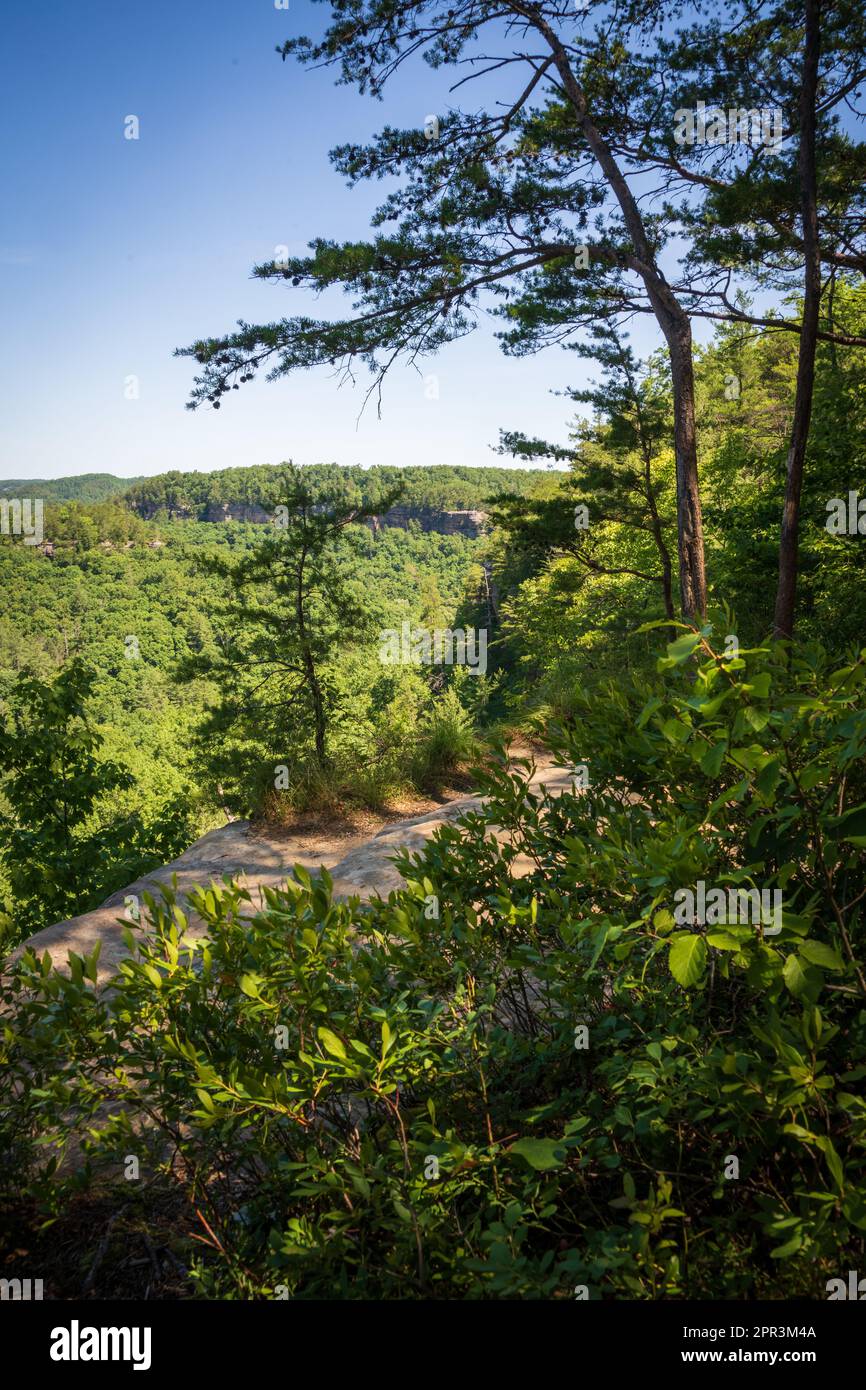Red River Gorge Geological Area in Kentucky Stock Photo - Alamy