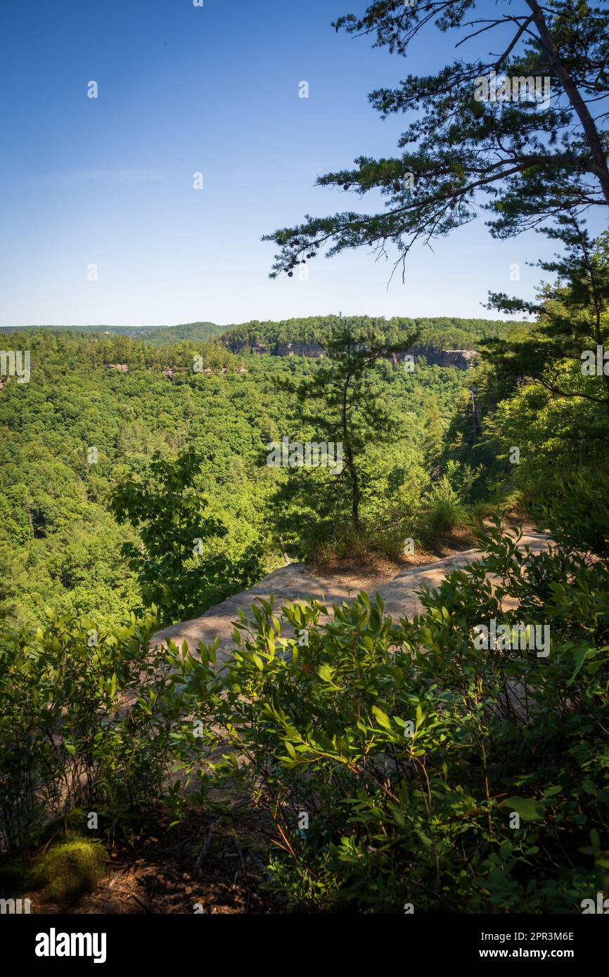 Red River Gorge Geological Area in Kentucky Stock Photo - Alamy