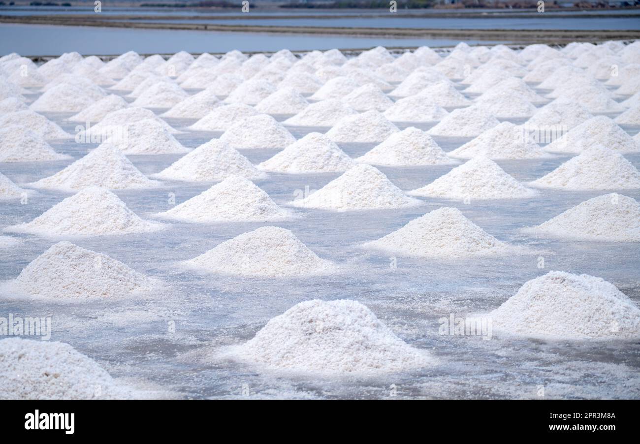 Sea salt farm. Pile of brine salt. Raw material of salt industrial ...