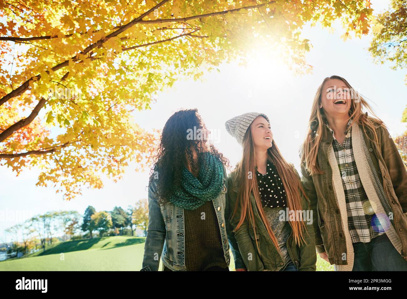 The best thing in life is true friendship. a group of young friends ...