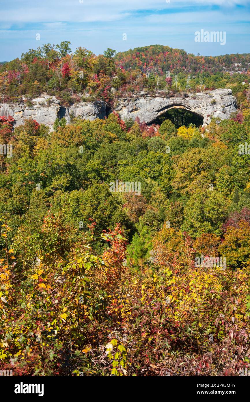 Natural Scenic Rock in Daniel Boone National Forest Stock Photo - Alamy