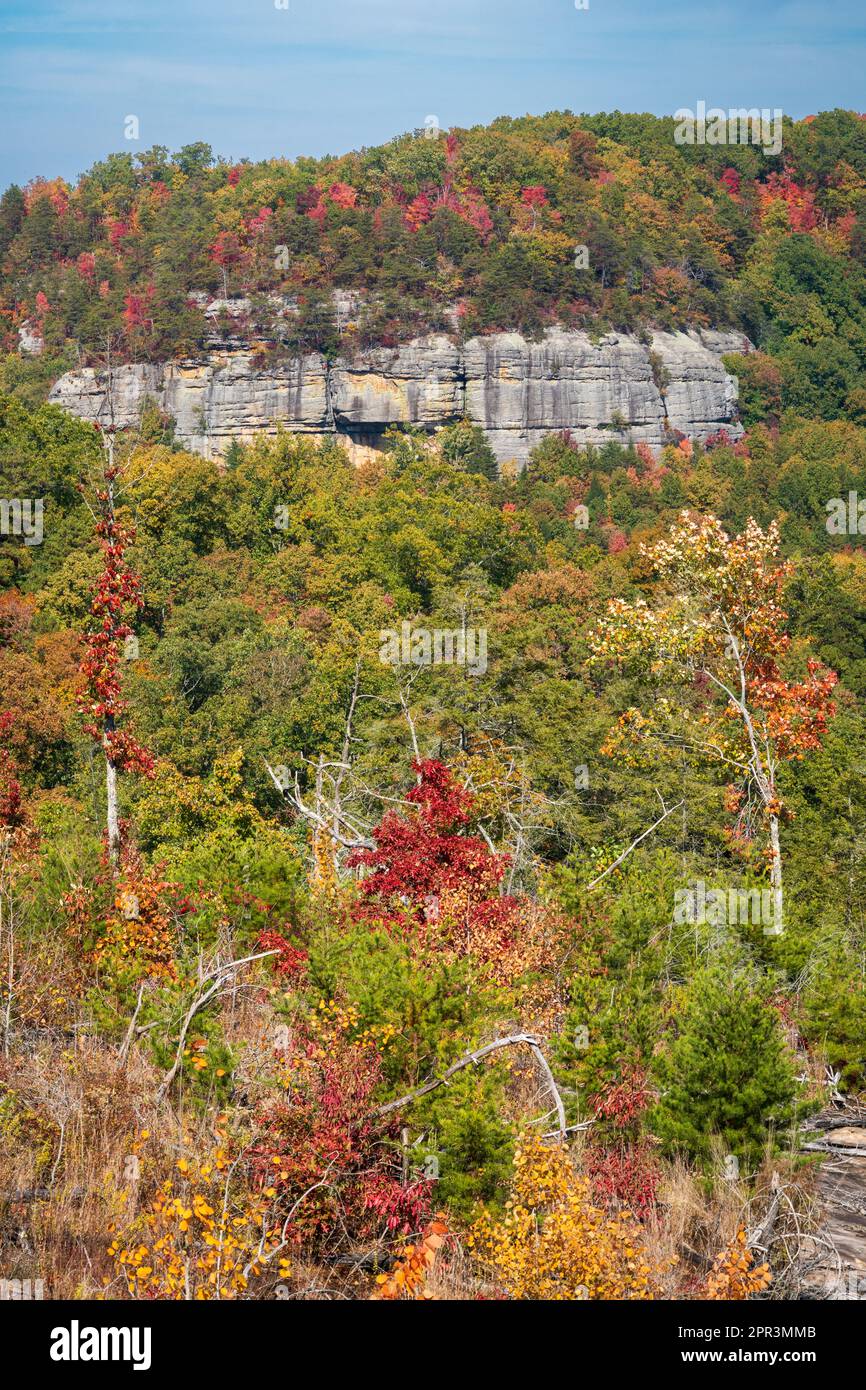Natural Scenic Rock in Daniel Boone National Forest Stock Photo - Alamy