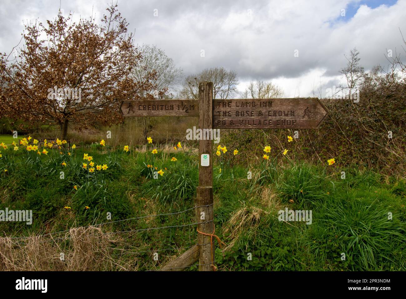 wooden sign post for walkers with daffodil flowering in the background ...