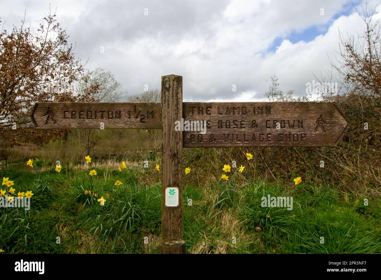 wooden sign post for walkers with daffodil flowering in the background ...