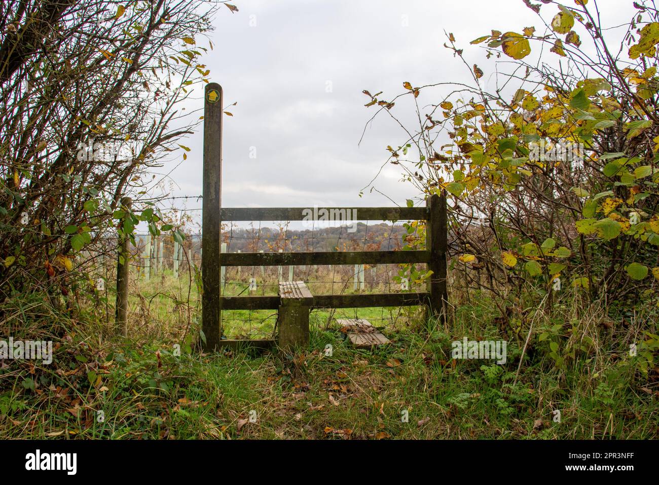 wooden stile over a fence with a hedge and trees in the distance Stock ...